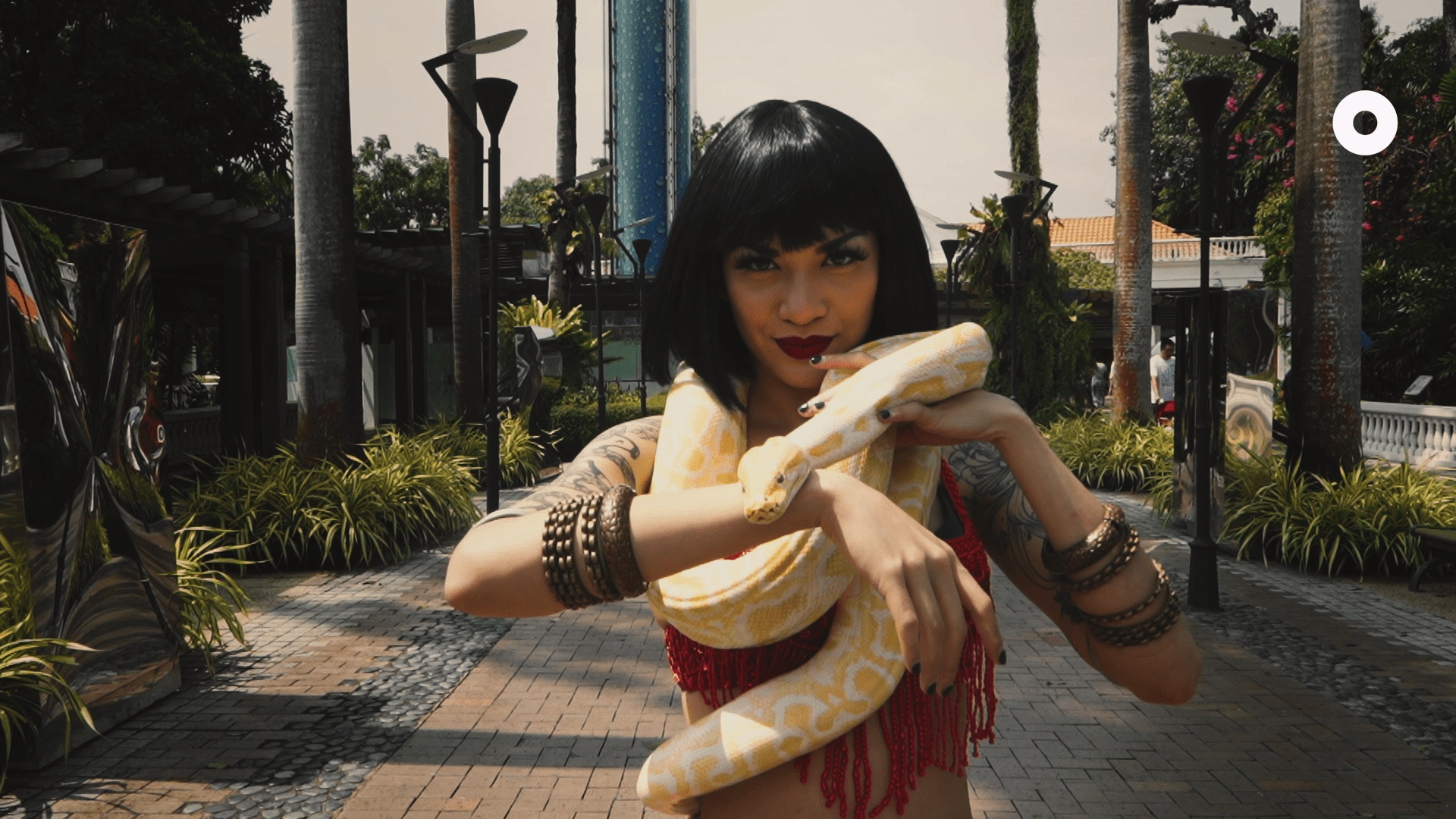 Belly Dancing With Snakes in Singapore – Our Grandfather Story
